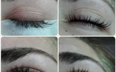 Aktuelles | Sylvia Rothe